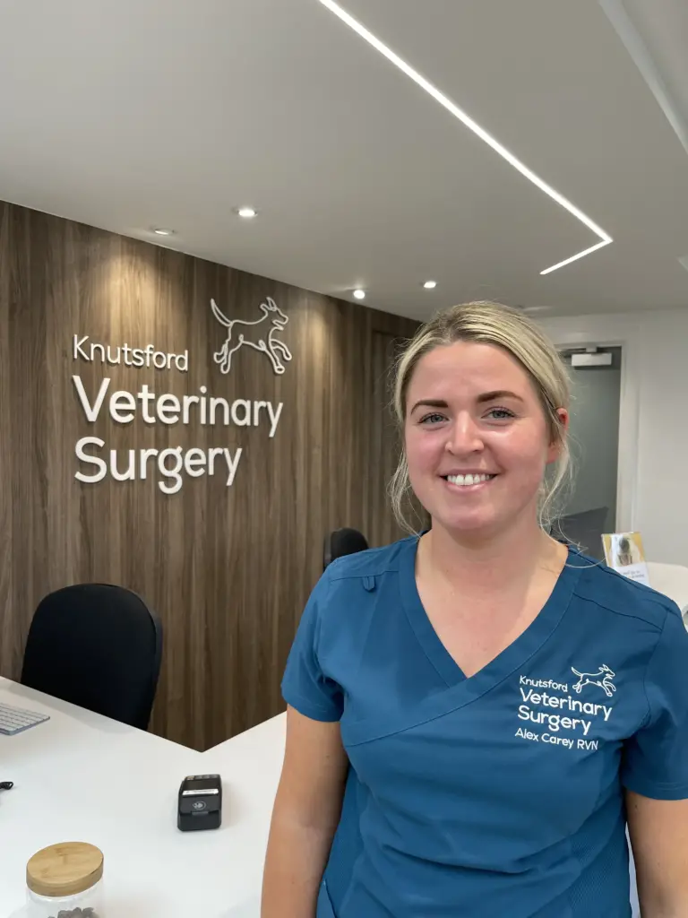 Meet Our Amazing Team I Knutsford Vets Surgery
