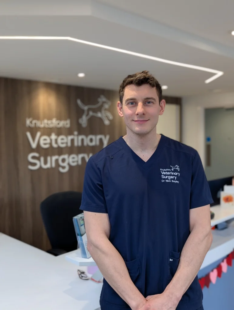 Dr Nick Bayley BVM BVS MRCVS - Knutsford Veterinary Surgery